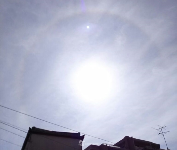 太陽の周りに虹色の輪!天気下り坂のサイン ウェザーニュース