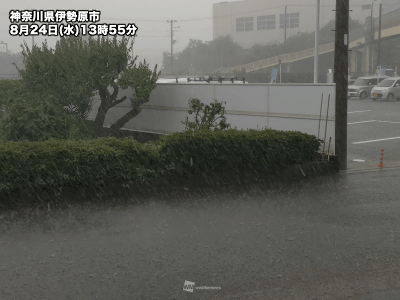 東京都心で強い雨や雷雨 関東は夜にかけてゲリラ豪雨に注意 ウェザーニュース