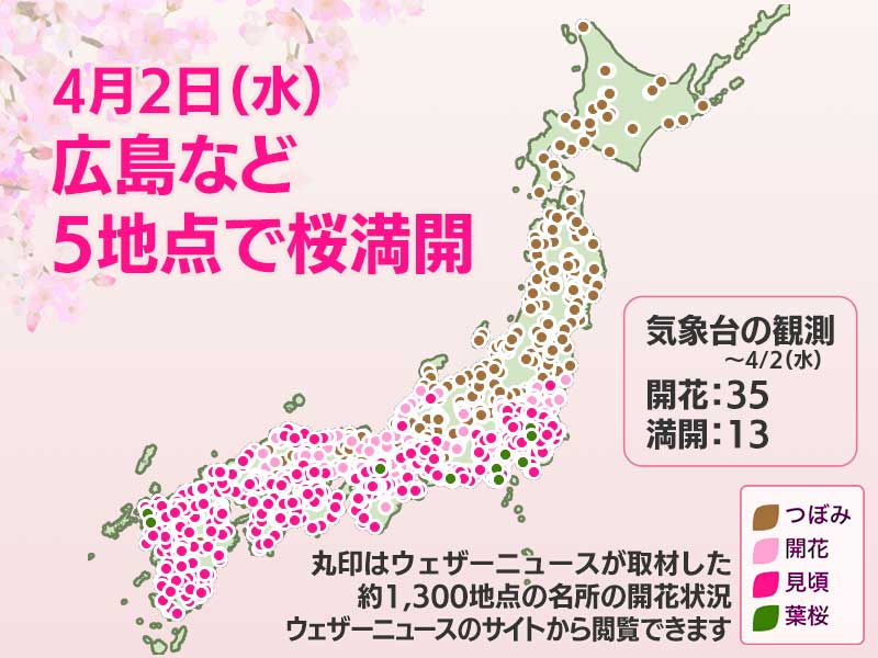 今日の桜開花状況 4月2日(水) 富山で開花 広島など5地点で桜満開 今日の桜開花状況 4月2日(水) 富山で開花 広島など5地点で桜満開