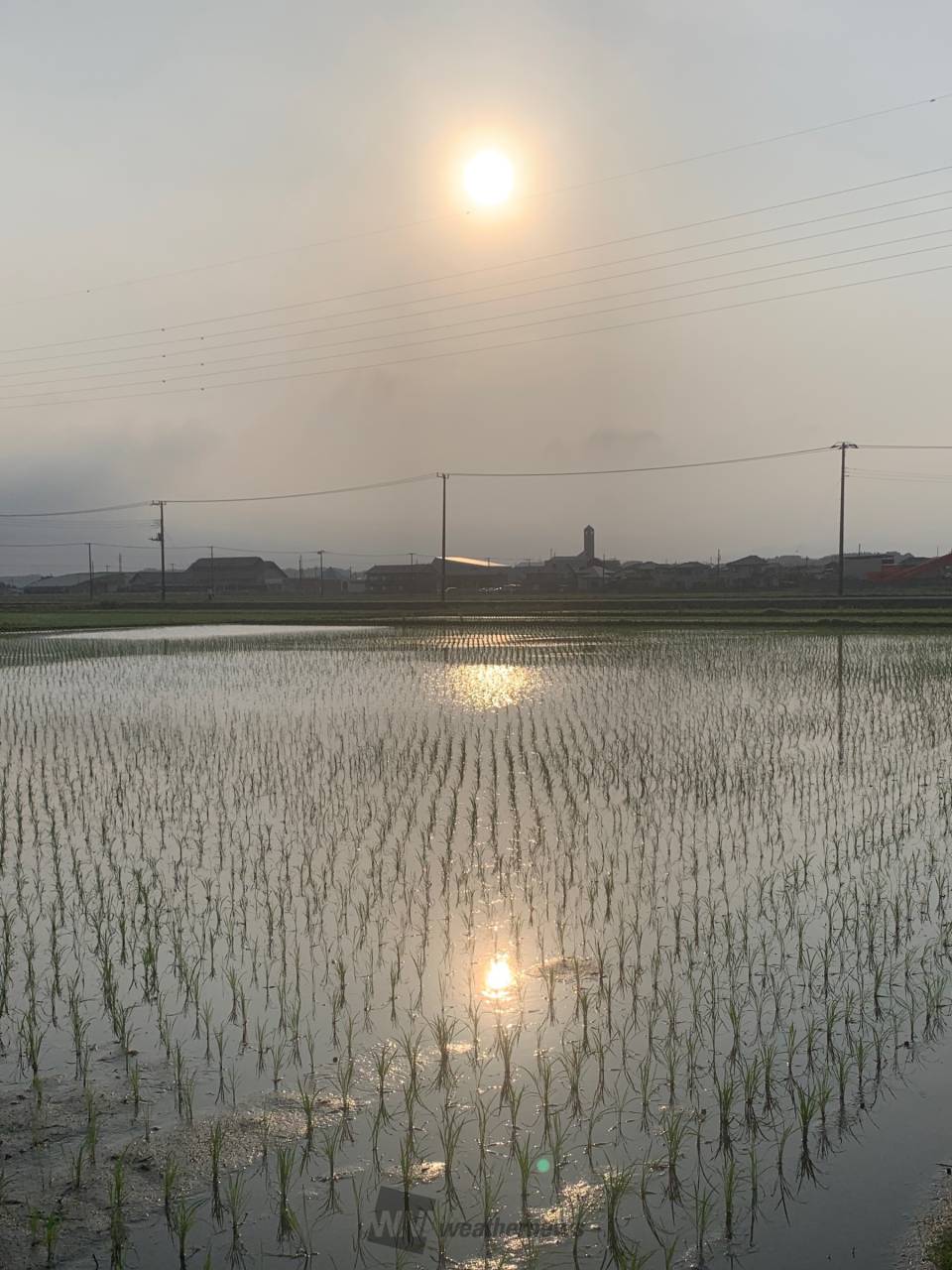 今日はこんなに 良い天気 なのに明日は | 千葉県香取市 | BeeZem | ウェザーニュース