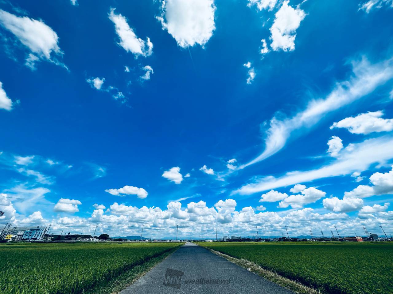 今日は晴れてますが、雲も多く風も強いです | 愛知県豊明市 | Cheery | ウェザーニュース