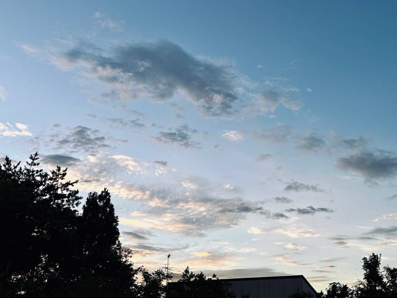 朝からNHKニュースで高田の気温37度を | 新潟県上越市 | -ウエストウインド | ウェザーニュース