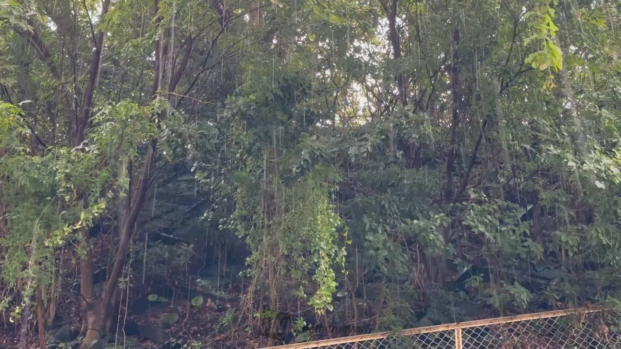 この時間、ザーザーと雨足が強まっています | 福岡県福岡市東区 | わか | ウェザーニュース