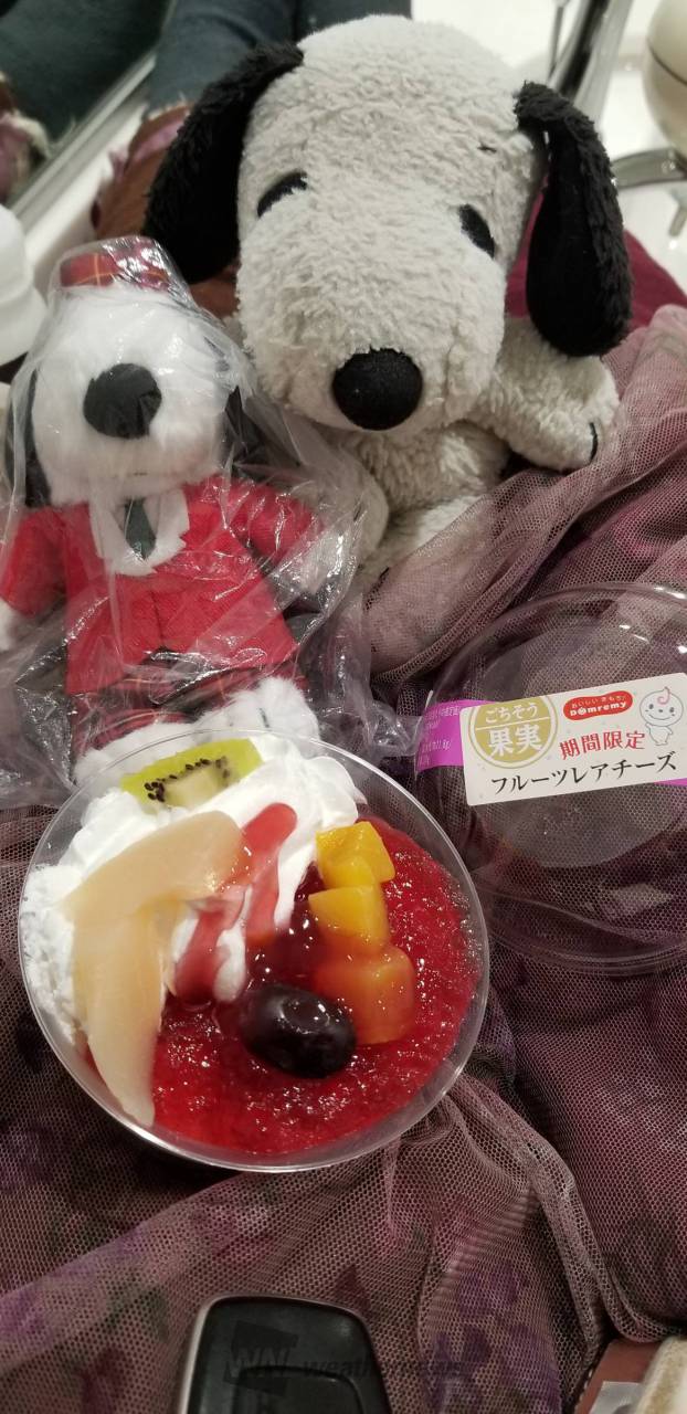 🐶🍑🍑🥝🥝🍑🍑🍇🍇🧀🧀🍰🍰🧀🧀💕🐶💝💕 | 滋賀県大津市 | 🌹ローズ🌹 | ウェザーニュース