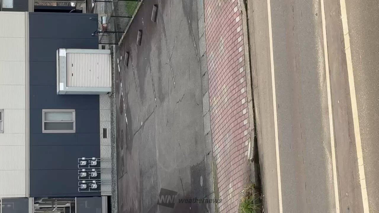 強い風が吹く極寒に可愛らしい小さな雪がチ | 福島県喜多方市 | ポメグランマ | ウェザーニュース