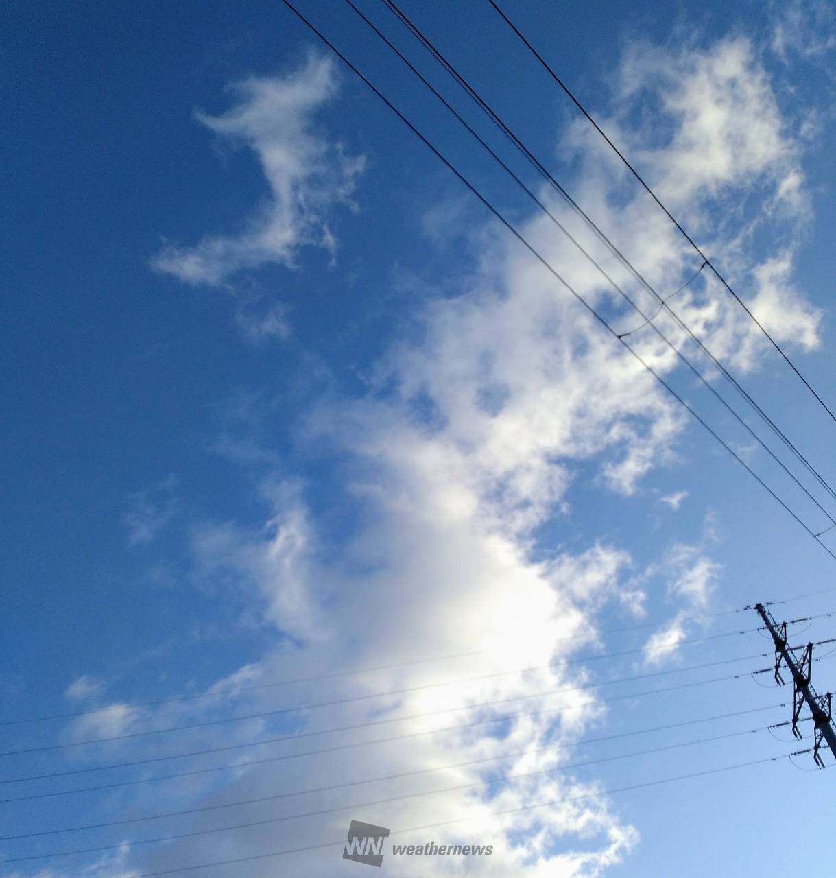 1/14(日)08:05 07:46撮影 | 岩手県奥州市 | るる | ウェザーニュース