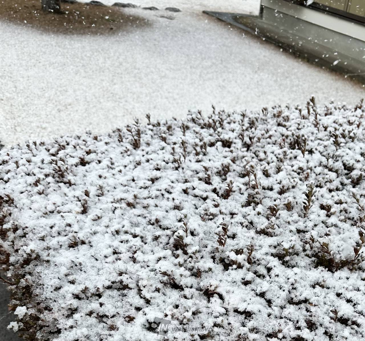 小降りになりましたが道路はシャーベット状 | 神奈川県大和市 | -arubireo＊* | ウェザーニュース