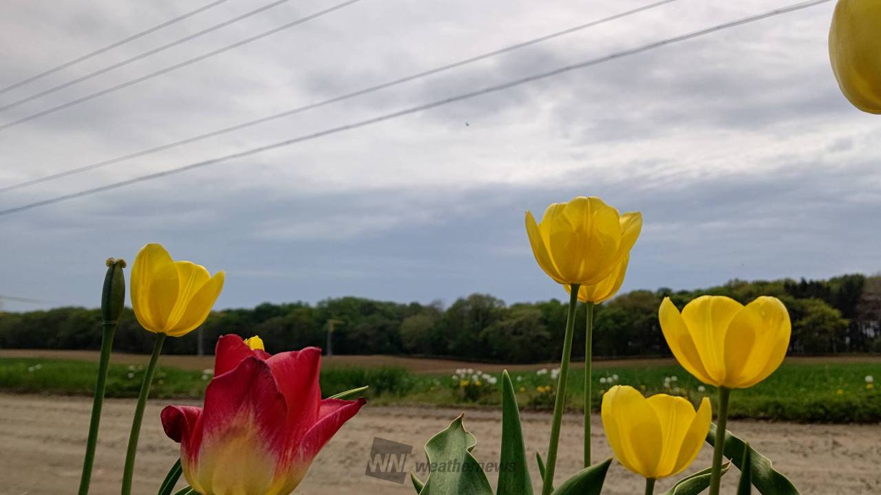 こんにちは。青空が、少し見えて、明るく感 | 北海道斜里郡小清水町 | nobu | ウェザーニュース